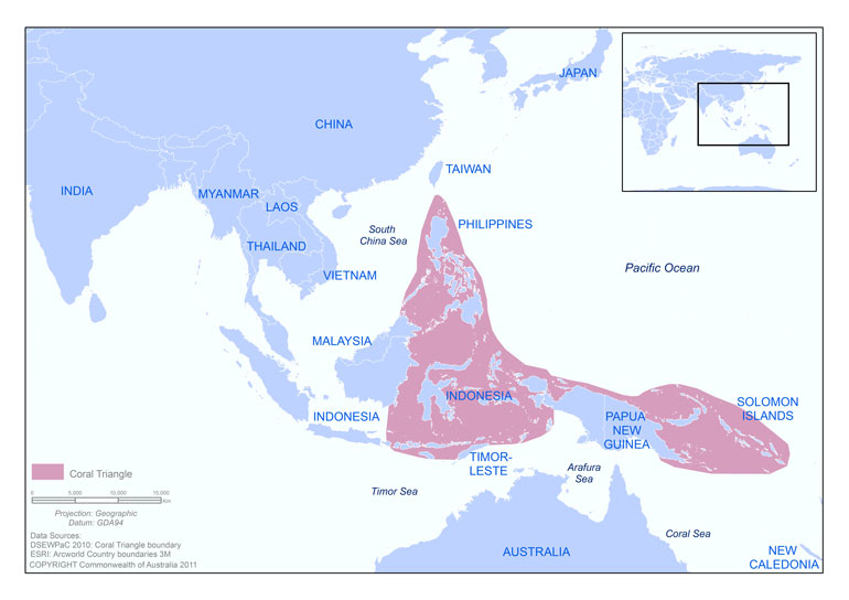 Australian Government supports the Coral Triangle Initiative ...