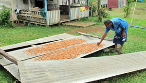 Market Development Facility—Stimulating pro-poor economic growth in ...