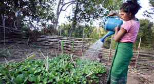 Former Australian Ambassador Howard Bamsey to lead Global Green Growth ...
