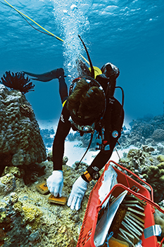 Bringing Indian Ocean Rim countries together | Australian Government ...