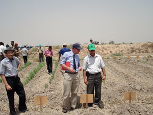 Making hay – conservation cropping in Iraq | Australian Government ...